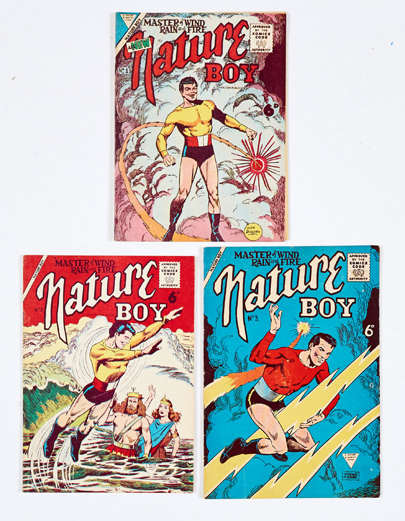 The Comic Book Price Guide For Great Britain - NATURE BOY